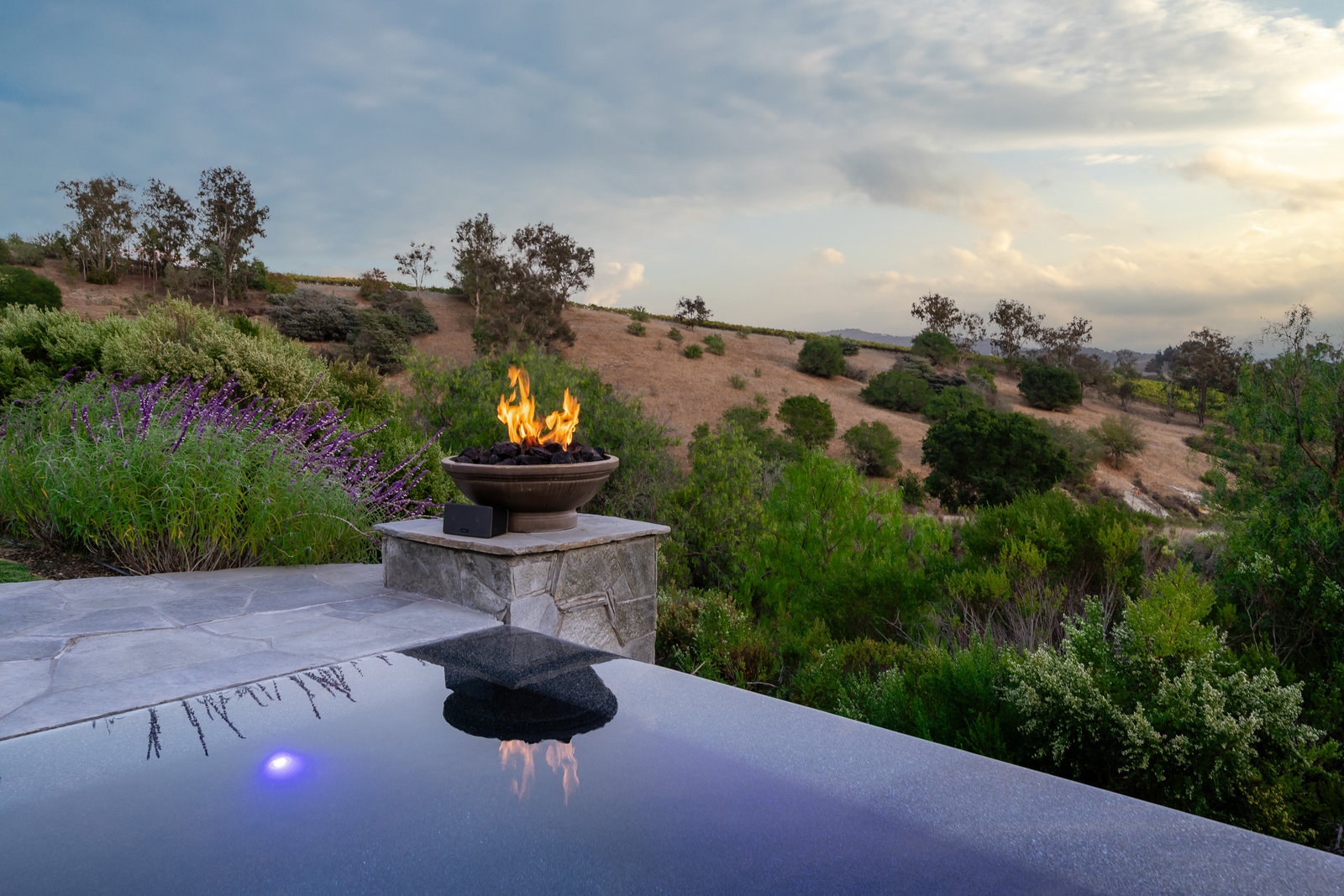 Exquisite estate - 1175 Bassi Drive